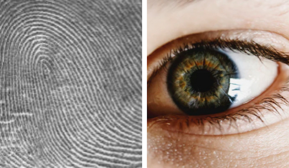 6 Forensic Advancements That Are Changing How Police Work Is Done ...